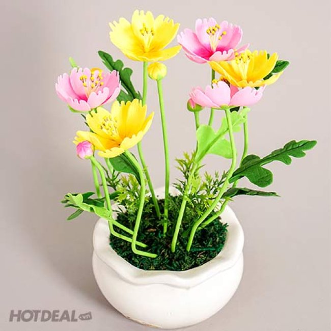 Khóa Học Tạo Hình Hoa Từ Đất Sét + Miễn Phí Nguyên Vật Liệu + Mang Sản ...