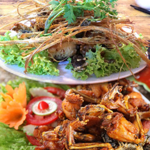Ếch Trùm Rơm / Nướng Muối Ớt/ Chiên Nướng Mắm Hấp Dẫn Tại Nhà Hàng Tân ...