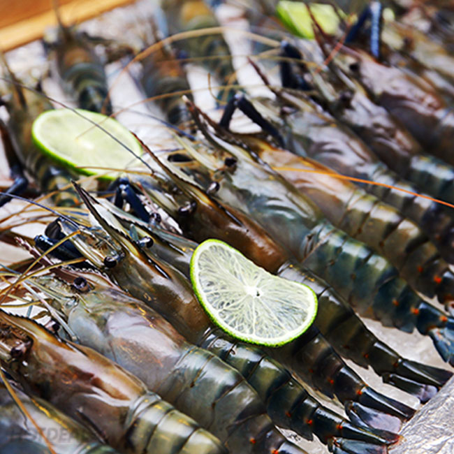 LIBERTY RIVERSIDE 4 SAO - BUFFET TỐI HẢI SẢN, SASHIMI CAO CẤP TỪ THỨ 2 ...