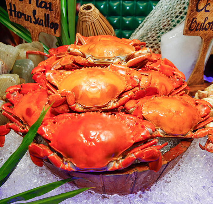 Windsor - Buffet Tôm Hùm, Bào Ngư, Gan Ngỗng, Hải Sản Cuối Tuần