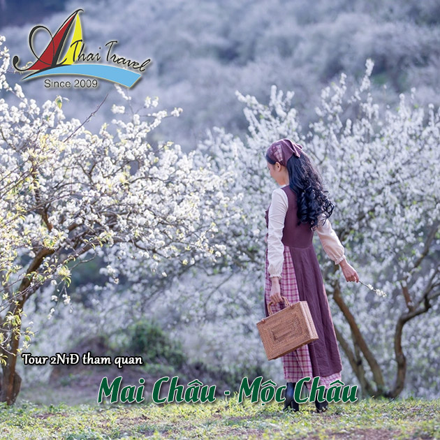 Tour Sapa - Lai Châu - Điện Biên - Mộc Châu - Mai Châu 5N4Đ